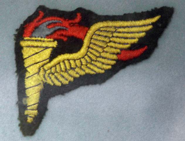 WW2 pathfinder badge info and opinions - ARMY AND USAAF - U.S ...