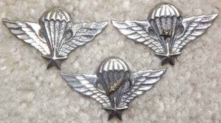 ARVN Jump Wings - Page 2 - AIRBORNE, GLIDER TROOPS, PARATROOP JUMP ...