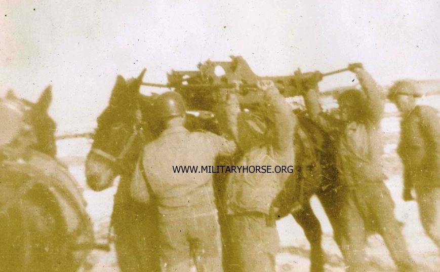ww2 Mule Arti - EPHEMERA, PHOTOGRAPHS & MILITARY ARTWORK - U.S ...