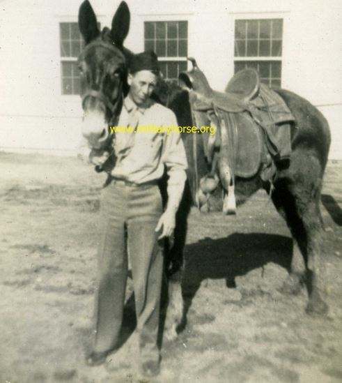 ww2 Mule Arti - EPHEMERA, PHOTOGRAPHS & MILITARY ARTWORK - U.S ...