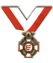 MSG LLEWELLYN CHILSON - MEDALS & DECORATIONS - U.S. Militaria Forum