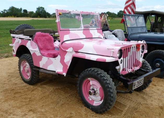 "Return of the Pink Panther"...well, almost! - MILITARY VEHICLES - U.S ...