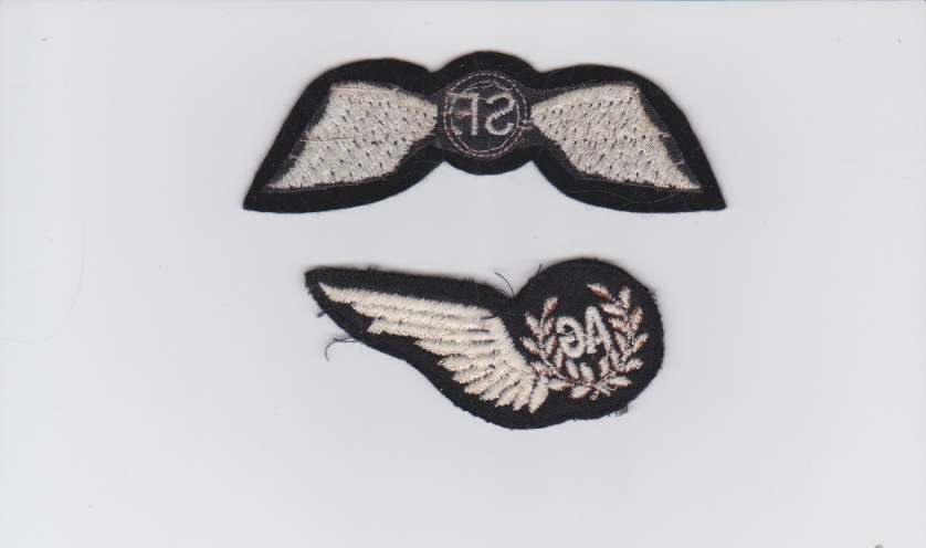 OPINIONS ON THESE WINGS JEDBURGH WING ? - ARMY AND USAAF - U.S ...