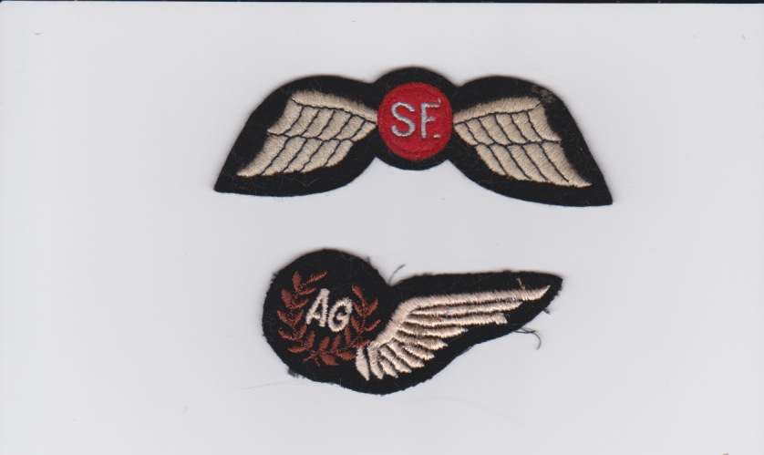 OPINIONS ON THESE WINGS JEDBURGH WING ? - ARMY AND USAAF - U.S ...