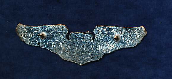 Snowflake wing - I would like to know more - WING BADGES - U.S ...