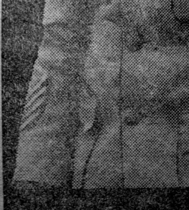 U.S. Army, Navy & Marine Corps WW I Wound Chevrons - Page 5 - ARMY AND ...