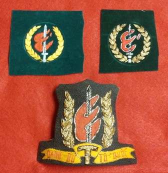 ARVN Bringback Cap Badges - SPOILS OF WAR - U.S. Militaria Forum
