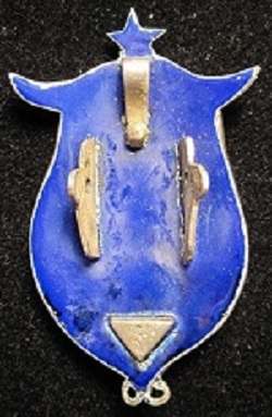 Unknown Badge - MISC MILITARIA - U.S. Militaria Forum