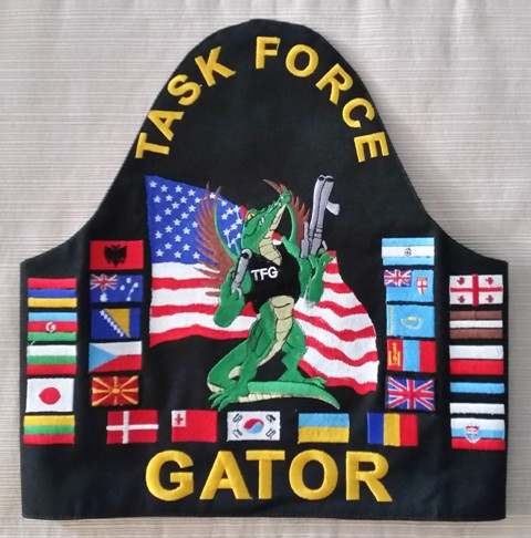 Task Force Gator brassard - from where? - CAN YOU IDENTIFY THIS PATCH ...