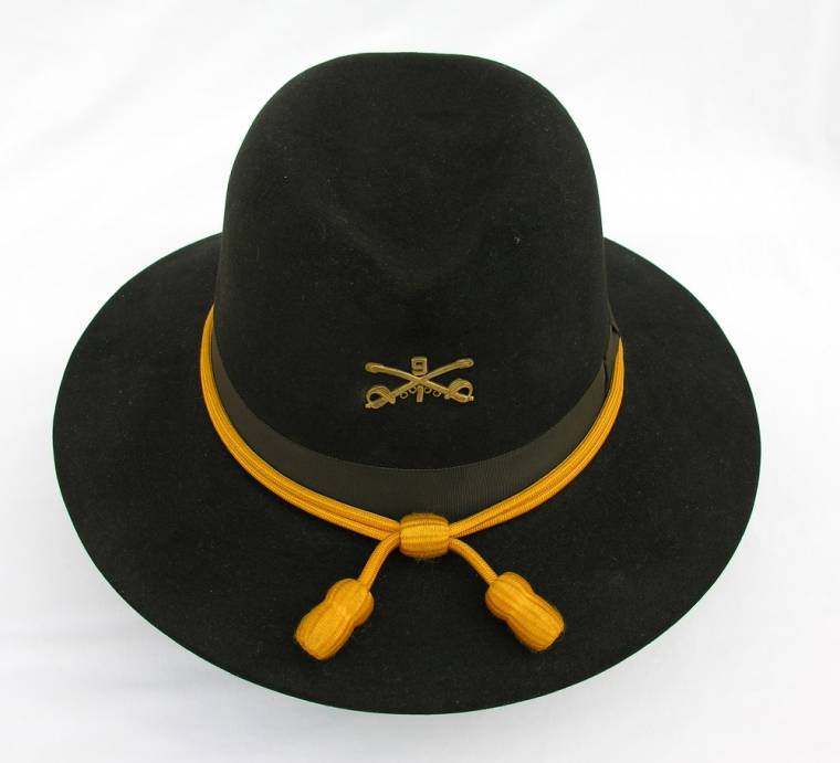 1st Squadron / 9th Cavalry (D Troop), Vietnam 1970-1971 Grouping ...