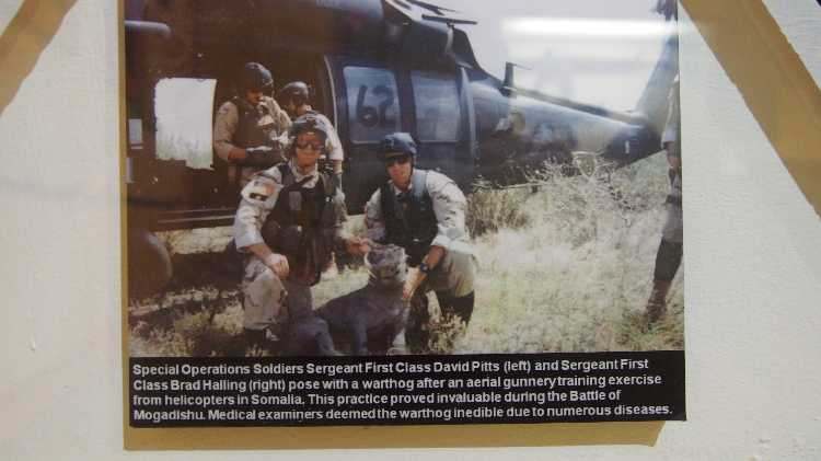 Operation Gothic Serpent (Black Hawk Down) - Page 6 - MILITARY HISTORY ...