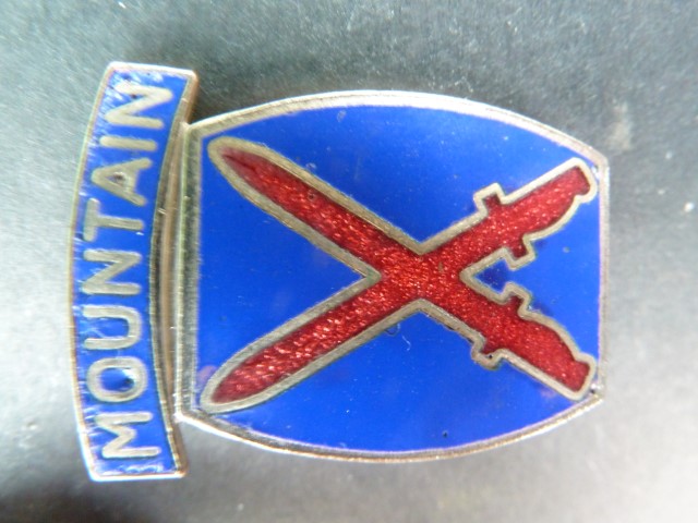 ww2 era 10th mountain div badge locally made? - ARMY (INCLUDING USAAC ...