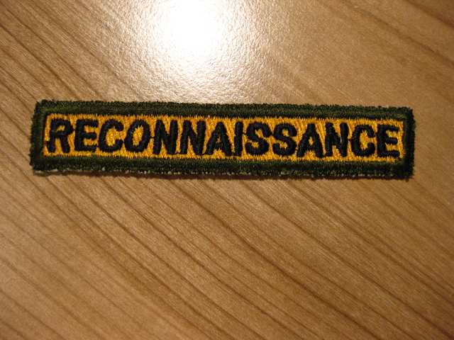 Recon Tab ? - ARMY AND USAAF - U.S. Militaria Forum