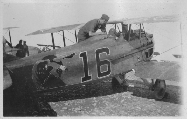 27th Fighter Squadron | 1st Fighter Group | 8th, 12th and 15th AAF ...