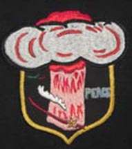 USAF River Rats Patch I Can't ID - AIR FORCE (USAAF IS WITH ARMY) - U.S ...