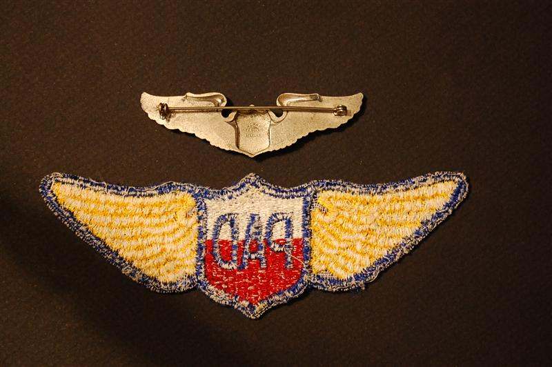 Wing and Unknown winged "PAD" Patch - WING BADGES - U.S. Militaria Forum