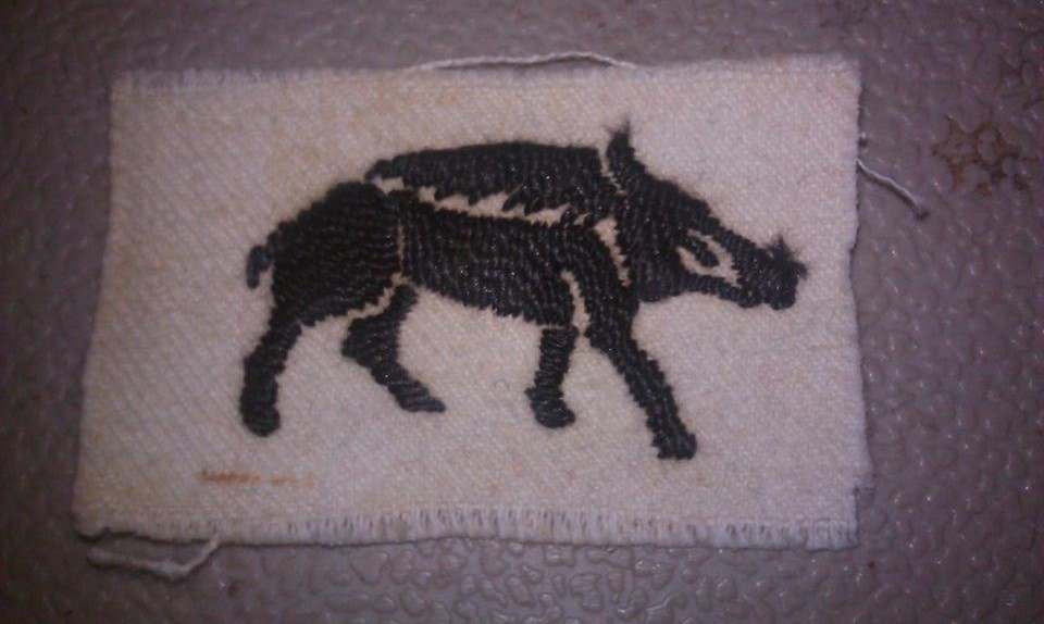 Help... This Thing Is Really A Pig To Identify! - CAN YOU IDENTIFY THIS ...