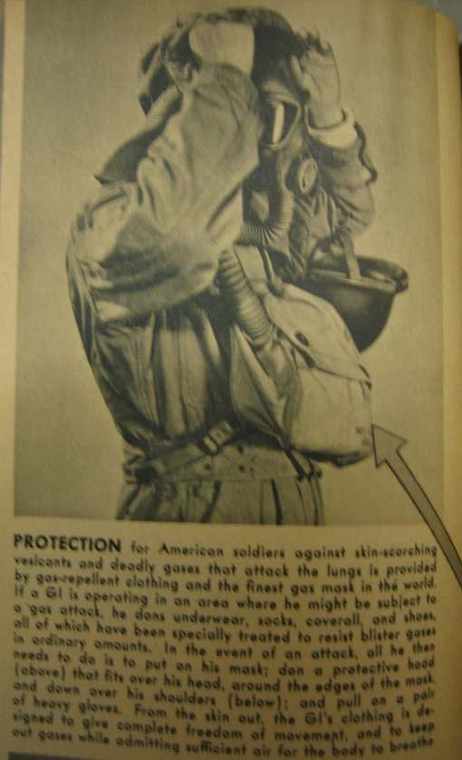 How to wear a lightweight service mask? - FIELD & PERSONAL GEAR SECTION ...