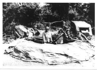 81st Airborne Anti Aircraft, 101st Airborne Div. - EPHEMERA ...