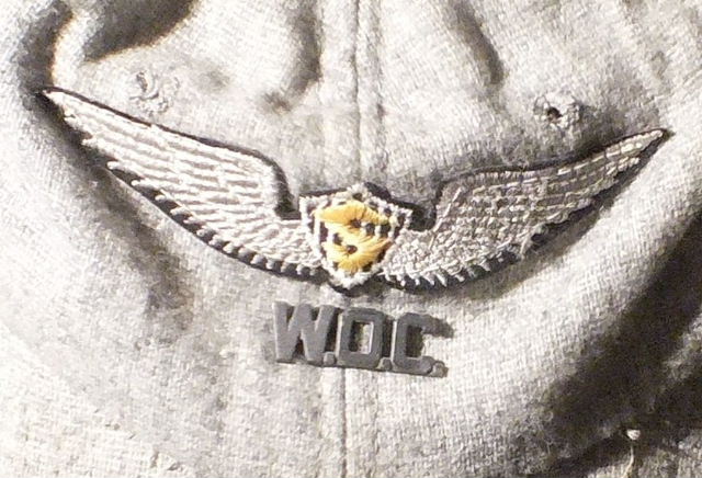 Fort Wolters - Solo Wings W.O.C. Cap - WING BADGES - U.S. Militaria Forum