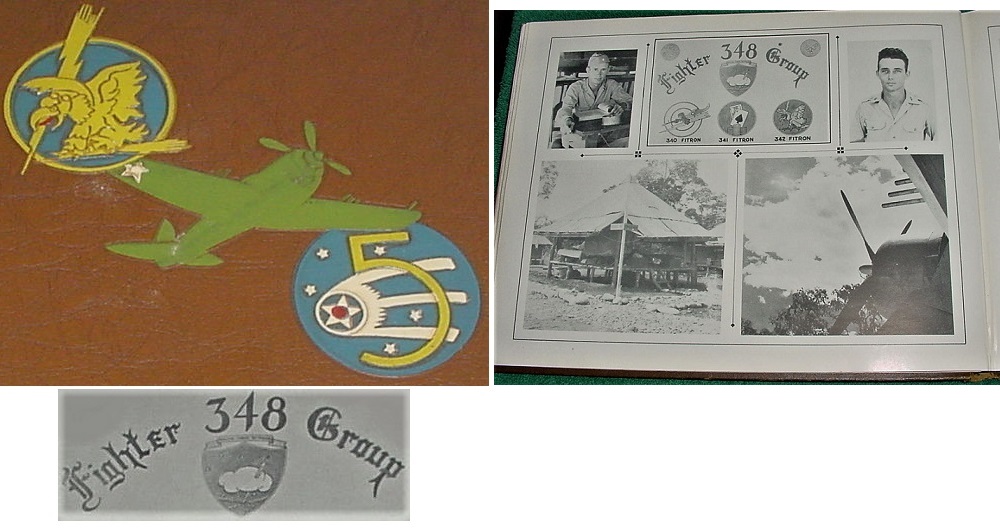 seeking "colors/better image" 348th Fighter Group emblem.... - ARMY AND ...