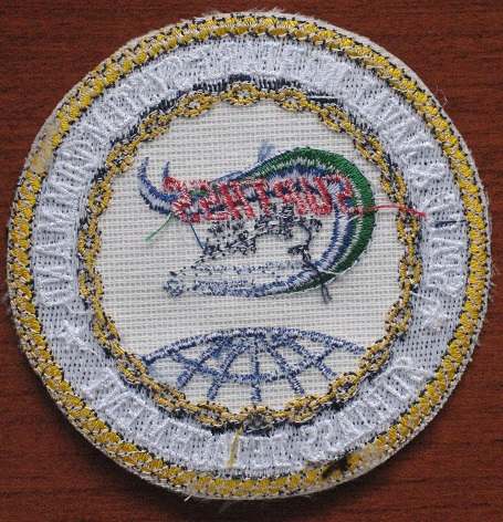 USN COMMAND and FLEET patches - Page 3 - NAVY, COAST GUARD AND OTHER ...