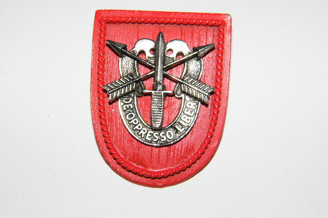 10th SF Group Beret Badge and insignias - ARMY AND USAAF - U.S ...