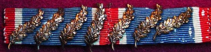 Ribbon attachments-OLC's, etc - MEDALS & DECORATIONS - U.S. Militaria Forum