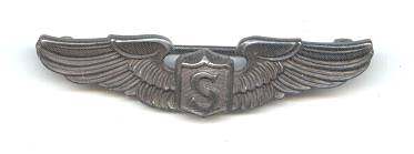 Estate Find small S wing - WING BADGES - U.S. Militaria Forum