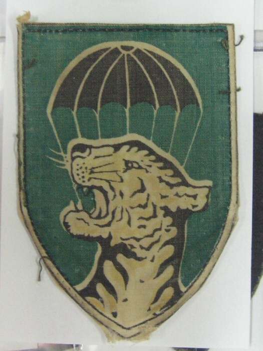 Viet made insignia: Mike Force and wings - ARMY AND USAAF - U.S ...