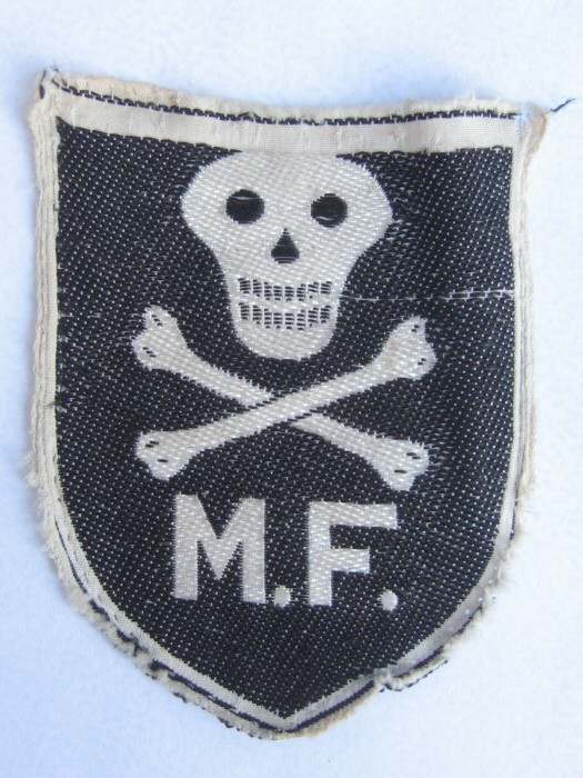Viet made insignia: Mike Force and wings - ARMY AND USAAF - U.S ...