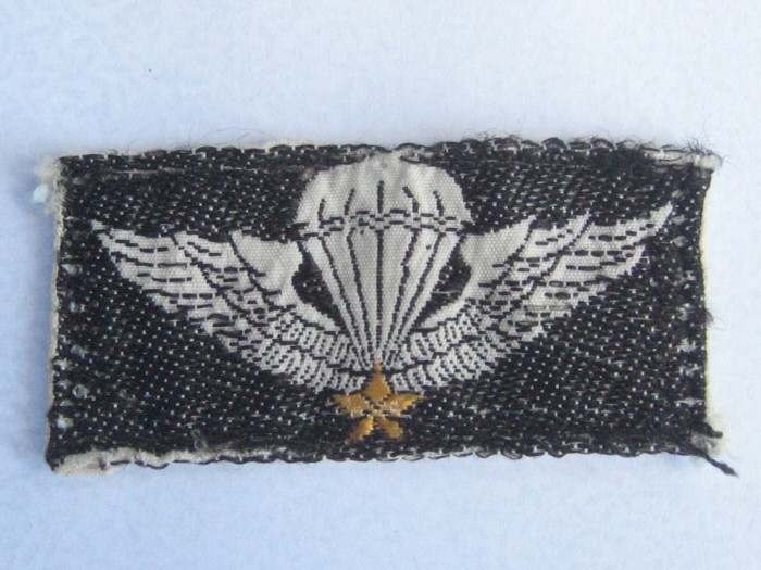 Viet made insignia: Mike Force and wings - ARMY AND USAAF - U.S ...