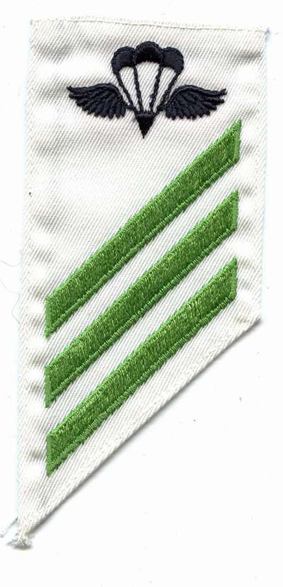 WAVES Parachute Rigger Rates - NAVY, COAST GUARD AND OTHER SEA SERVICES ...