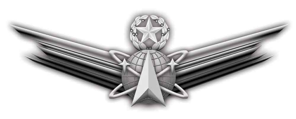 UAS Wings - WING BADGES - U.S. Militaria Forum