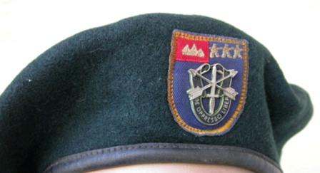 help with info on a flash - ARMY AND USAAF - U.S. Militaria Forum