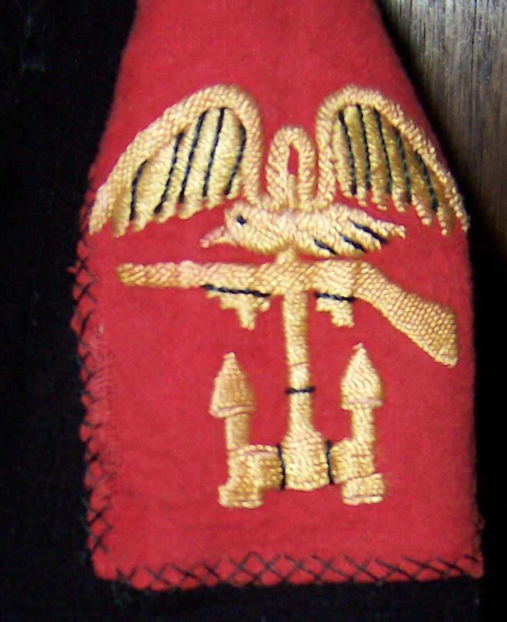 Amphibious Forces - Alligator Cuff Patches ---------- - NAVY, COAST ...