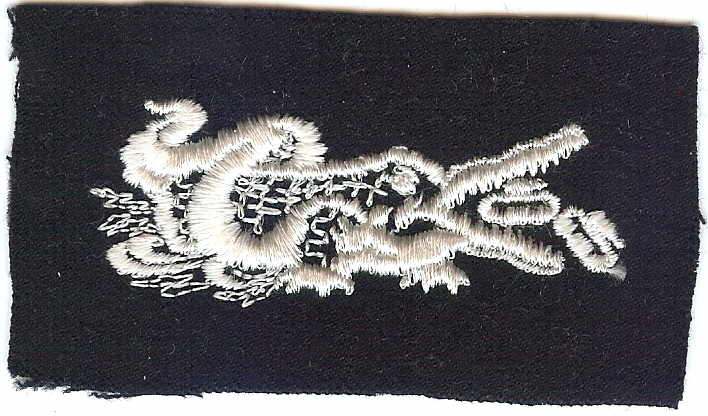 Amphibious Forces - Alligator Cuff Patches ---------- - NAVY, COAST ...