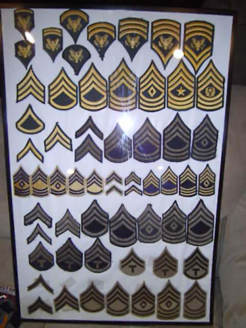 Army Specialist 8 & 9 Insignia - ARMY (INCLUDING USAAC/AAF) - U.S ...