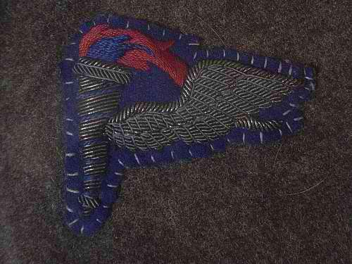 WW2 PATHFINDERS - ARMY AND USAAF - U.S. Militaria Forum