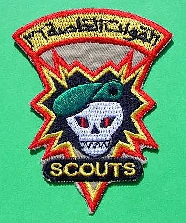 A theatre made ODA 542 patch - ARMY AND USAAF - U.S. Militaria Forum