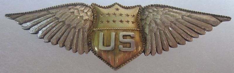 Odd WWI Wing with gilt shield - WING BADGES - U.S. Militaria Forum