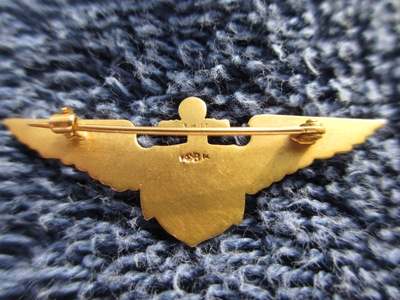Small USN Aviator wings - WING BADGES - U.S. Militaria Forum