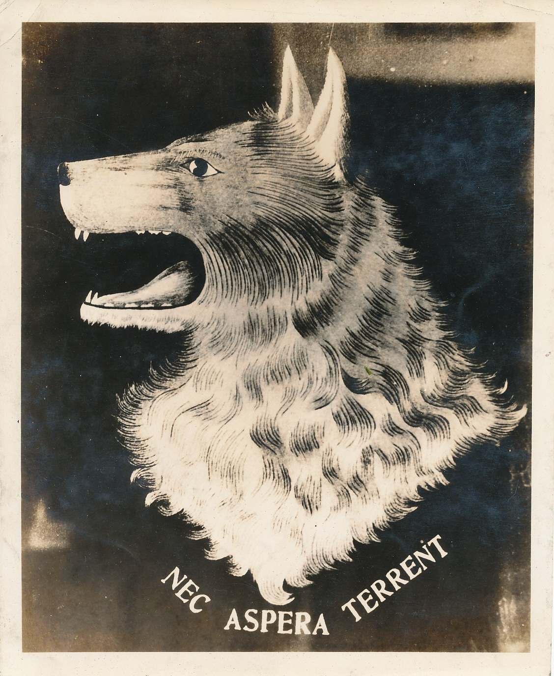 Pineapple Army The Wolfhound Pack - 27th Infantry Regiment Schofield ...