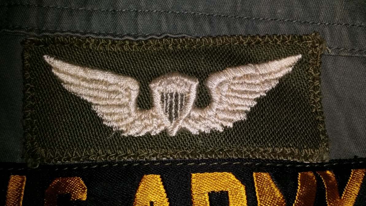 Unusual Army Aviator Wing - ARMY AND USAAF - U.S. Militaria Forum