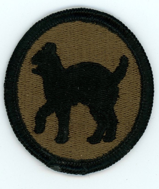 Interesting 81st Division merrowed edge patch - ARMY AND USAAF - U.S ...