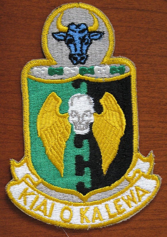 5th Bomb Wing patch - AIR FORCE (USAAF IS WITH ARMY) - U.S. Militaria Forum