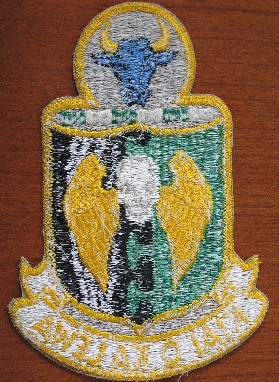 5th Bomb Wing patch - AIR FORCE (USAAF IS WITH ARMY) - U.S. Militaria Forum