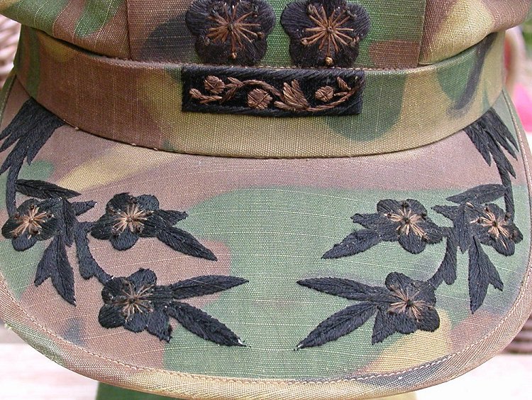 BEAUTIFUL ARVN AIRBORNE COLONELS CAP. - UNIFORMS - U.S. Militaria Forum