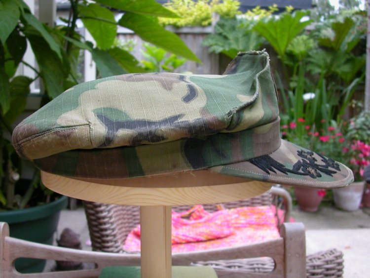BEAUTIFUL ARVN AIRBORNE COLONELS CAP. - UNIFORMS - U.S. Militaria Forum