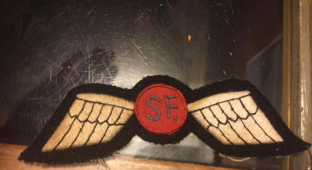 OSS Jedburgh Wing for review - AIRBORNE, GLIDER TROOPS, PARATROOP JUMP ...